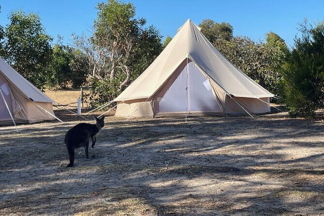 Kangaroo Island 2-Day Wildlife Adventure Small Group tour - A Closer Look at the Itinerary and What You Can Expect