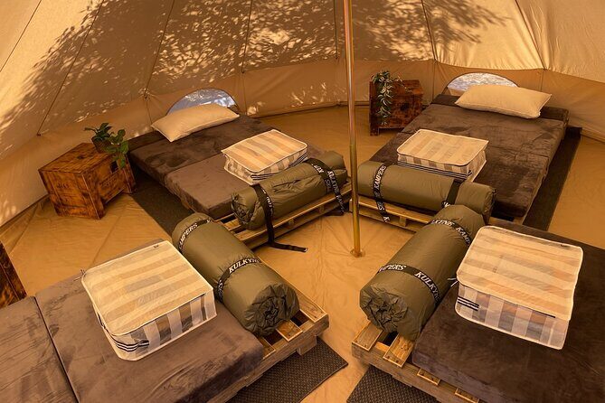 Kangaroo Island 2-Day Wildlife Adventure Small Group tour - The Sum Up