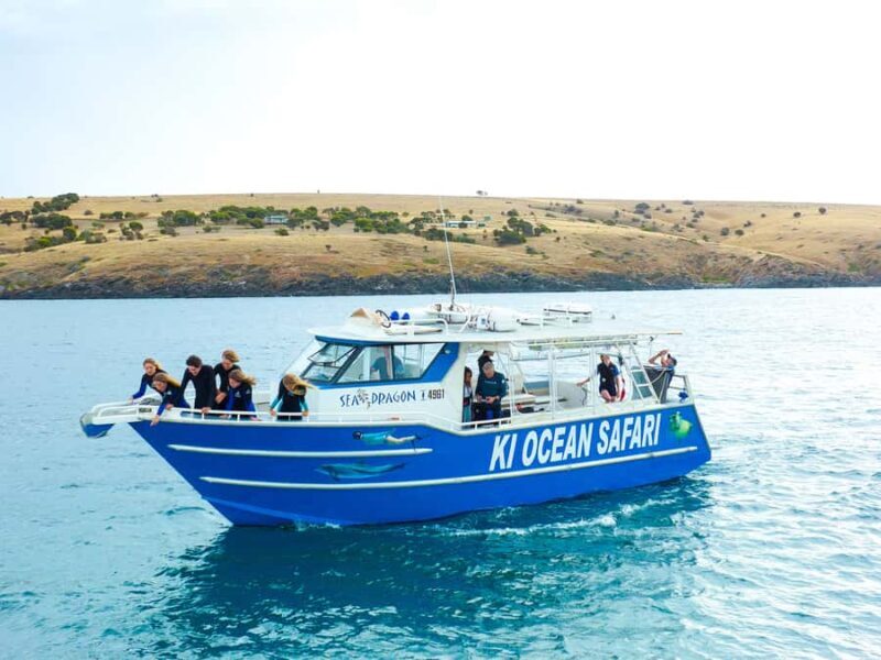 Kangaroo Island: Dolphin, Seal, and Swimming Boat Tour - A Closer Look at the Experience