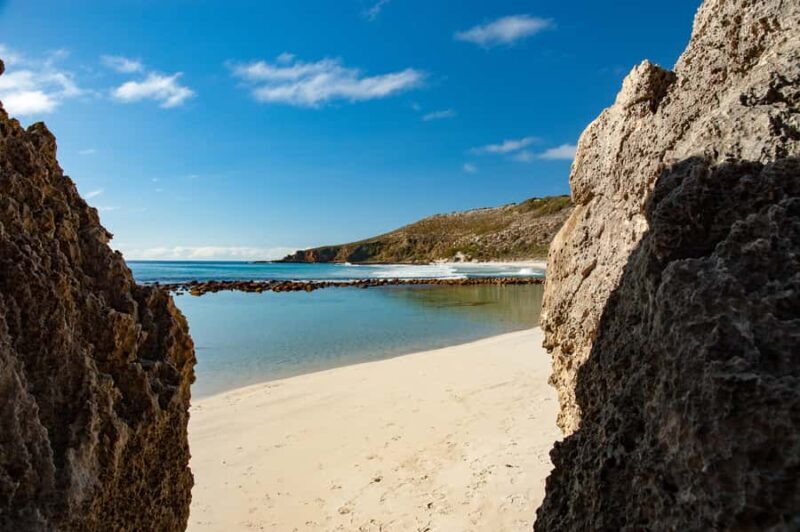 Kangaroo Island: Full-Day Guided Island Life Tour - Key Points