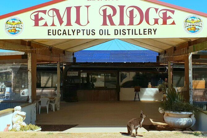 Kangaroo Island Half-Day Tour - In The Sum Up