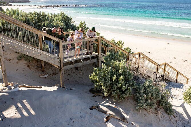 Kangaroo Island in a Day Tour from Adelaide - Exploring the Itinerary in Detail