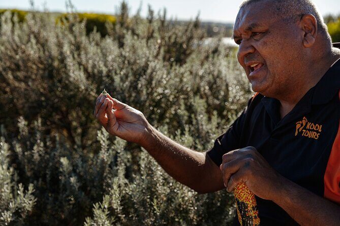 Kangaroo Island Indigenous Tour (1 Day) - Exploring the Kangaroo Island Indigenous Tour (1 Day): An Authentic Look at Australia’s Unique Heritage