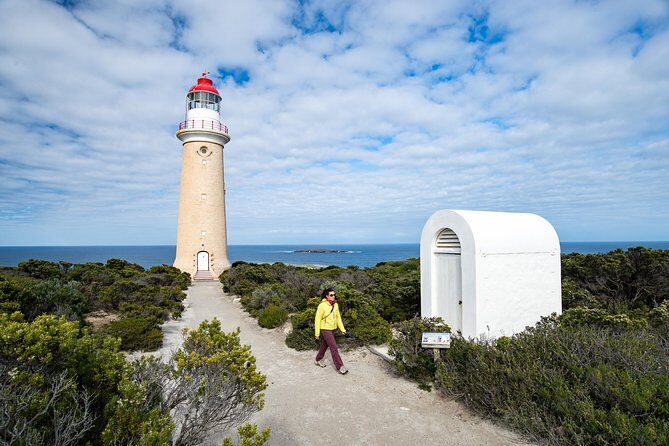 Kangaroo Island Luxury Small Group 'Flinders Chase Focus' Full Day Tour - Transport and Logistics
