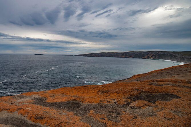 Kangaroo Island Luxury Small Group 'Flinders Chase Focus' Full Day Tour - The Guide Experience