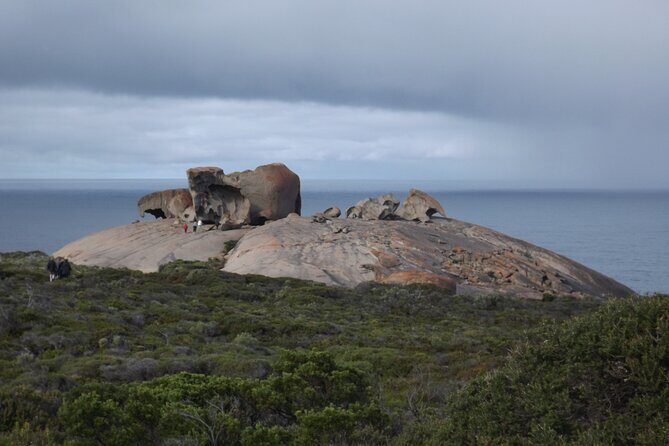 Kangaroo Island Scenic Nature and Wildlife Day Tour - Frequently Asked Questions
