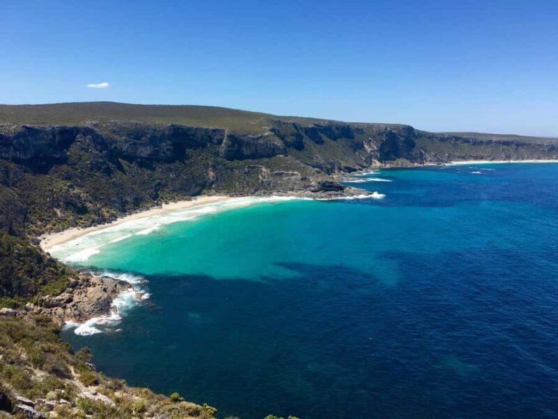 Kangaroo Island: Scenic, Nature & Wildlife Tour - Introducing the Kangaroo Island Scenic, Nature & Wildlife Tour