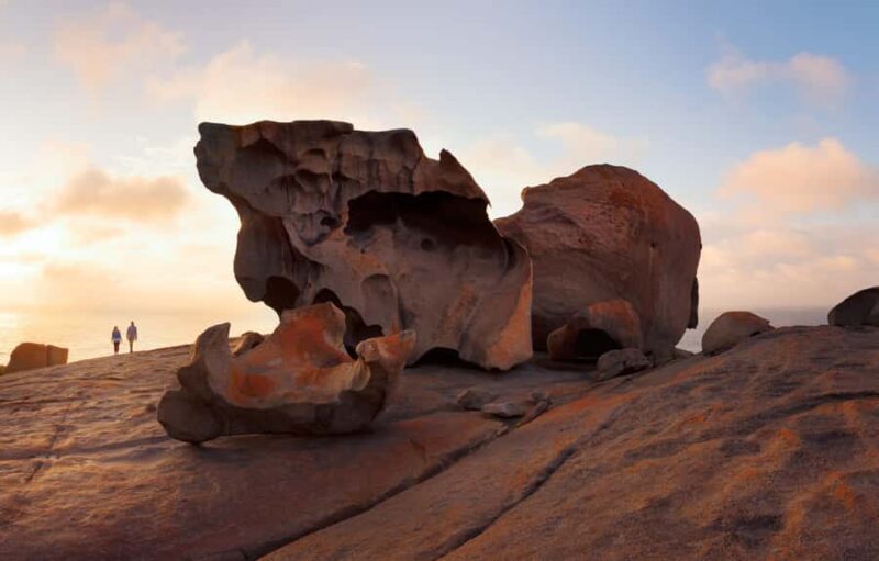 Kangaroo Island: Scenic, Nature & Wildlife Tour - Who Will Love This Tour?