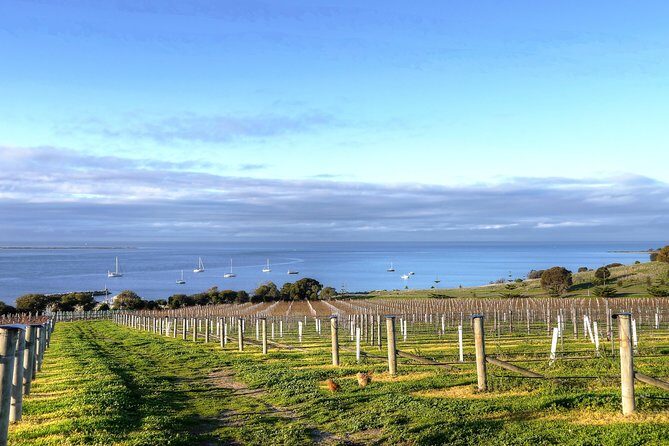 Kangaroo Island Shore Excursion Tasting Tour - For Cruise Ship Passengers Only - Who Will Enjoy This Tour?