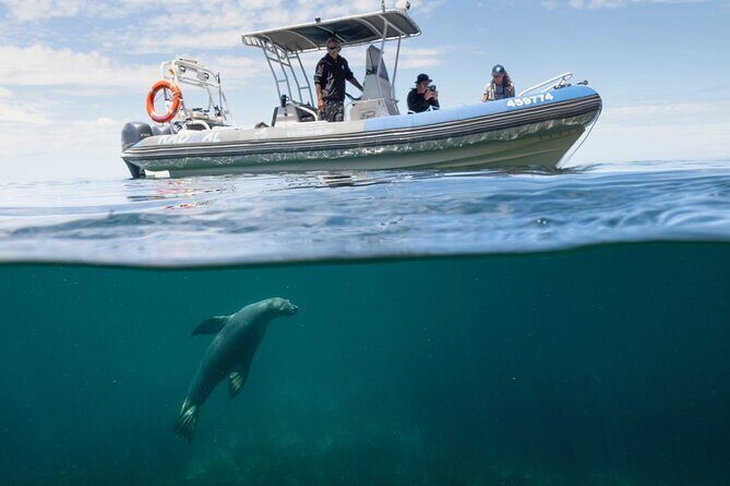 Kangaroo Island Ultimate Adventure Tour departing Kingscote - The Itinerary in Detail