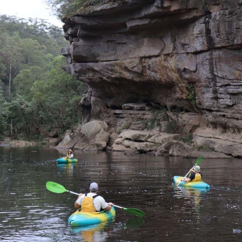 Kangaroo Valley: Half Day Guided Kayaking Experience - Key Points
