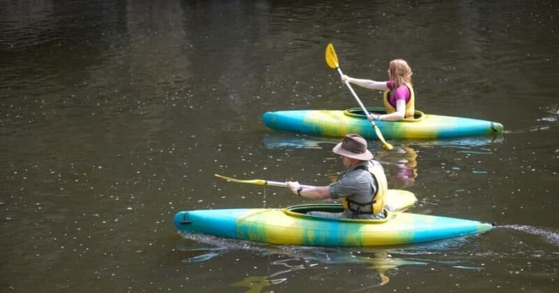 Kangaroo Valley: Half Day Guided Kayaking Experience - Why This Tour Offers Great Value