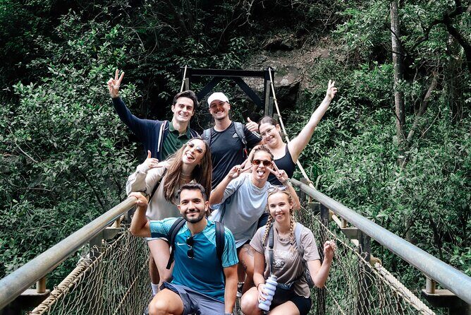 Kangaroos, 6 Springbrook Waterfalls and Natural Bridge Day Tour - Kangaroos, 6 Springbrook Waterfalls and Natural Bridge Day Tour Review