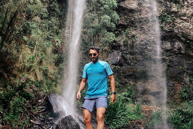 Kangaroos, 6 Springbrook Waterfalls and Natural Bridge Day Tour - Value and Pricing