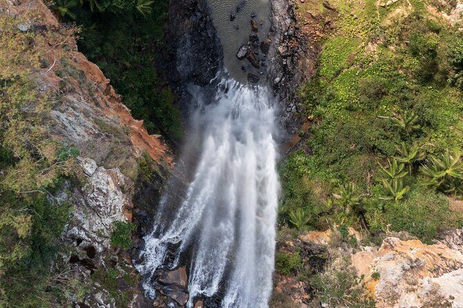 Kangaroos, 6 Springbrook Waterfalls and Natural Bridge Day Tour - Who Would Love This Tour?
