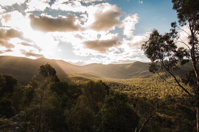 Kangaroos and Koala Experience Tour - FAQ