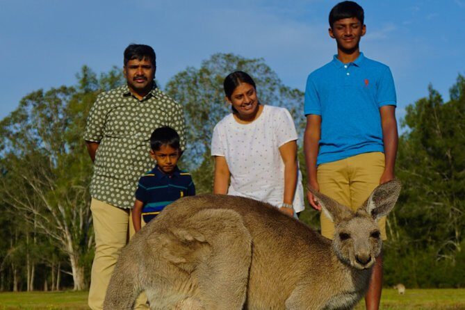 Kangaroos & Koalas in the Wild - Private Nature Experience - Key Points
