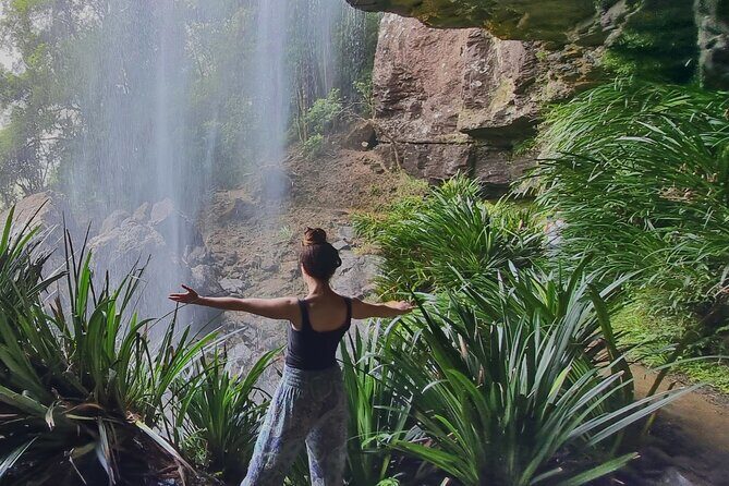 Kangaroos, Rainforest & Waterfalls Experience - Small Group - Exploring the Itinerary: A Day in Nature