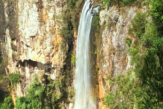 Kangaroos, Rainforest & Waterfalls Experience - Small Group - FAQ