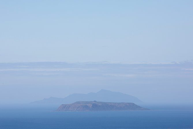 Kapiti Coast and Foxton Area Beaches Day Tour - What to Expect on the Kapiti Coast and Foxton Beaches Tour