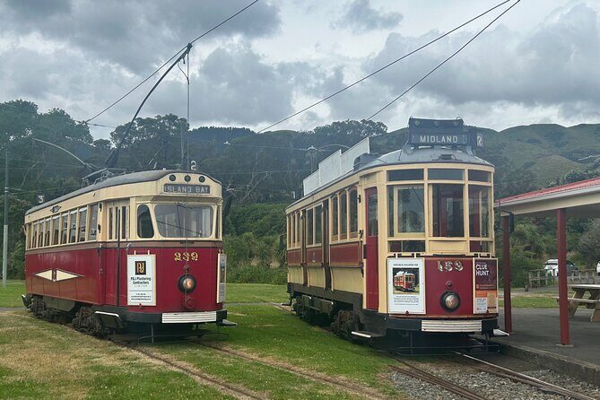 Kapiti Private Tour in Tesla SUV - Who Should Consider This Tour?