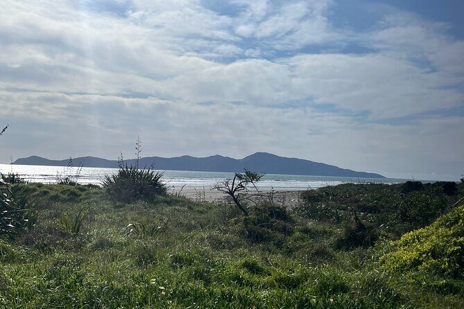 Kapiti Private Tour in Tesla SUV - The Sum Up: Is This Tour Worth It?
