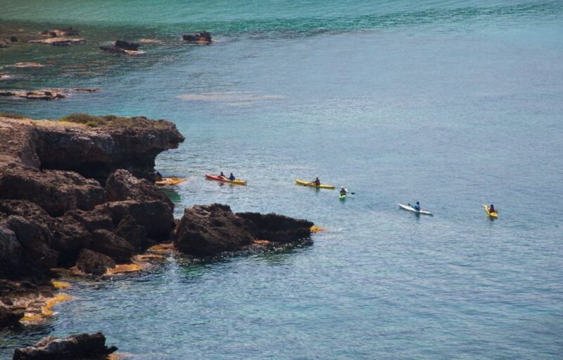 Kardamyli: Sea Kayaking With Lunch - Who Will Love This Tour?