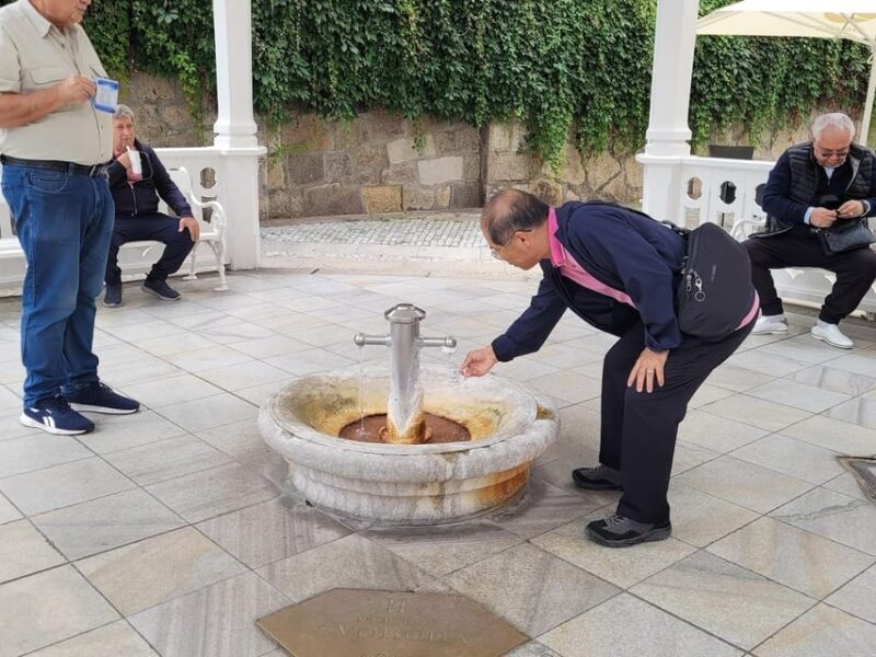 Karlovy Vary: Mineral Hot Springs Tasting and Walking Tour - Why You Should Consider This Tour