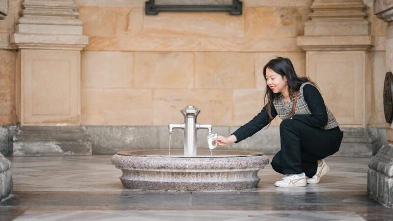 Karlovy Vary: Mineral Hot Springs Tasting and Walking Tour - The Value of the Experience