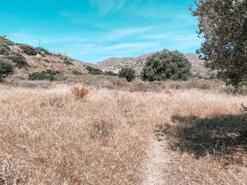 Karpathos: Easy Guided Nature and Culture Hike in Pigadia - In-Depth Look at the Tour