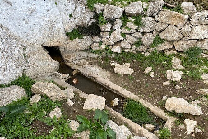 Karpathos Lastos mountain Hike with guide - The Practical Side: What to Expect