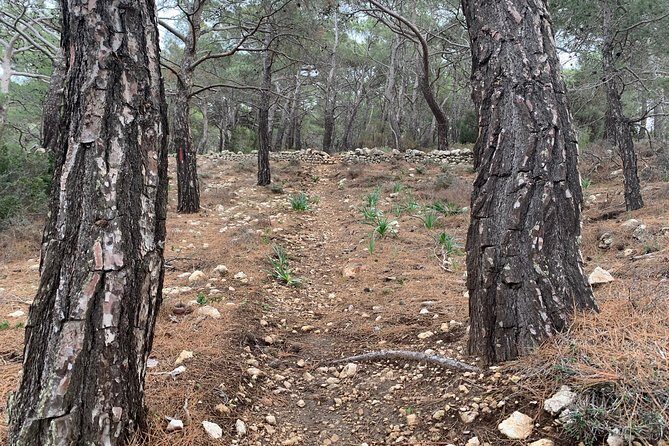 Karpathos scenic Agia Kyriaki Walk from Pigadia - The Chapel of Agia Kyriaki and Rest Stops