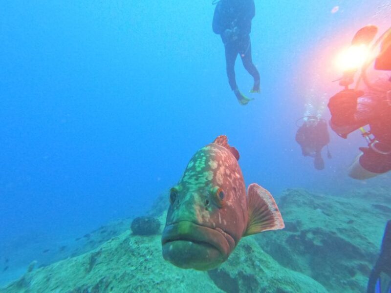 Kas: Scuba Diving Experience - Final Thoughts