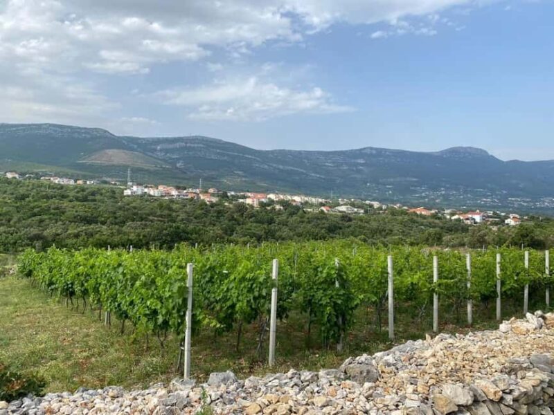 Kastela: Wine & Olive Tasting Tour w/Delicacies & Live Music - Tasting Local Delicacies