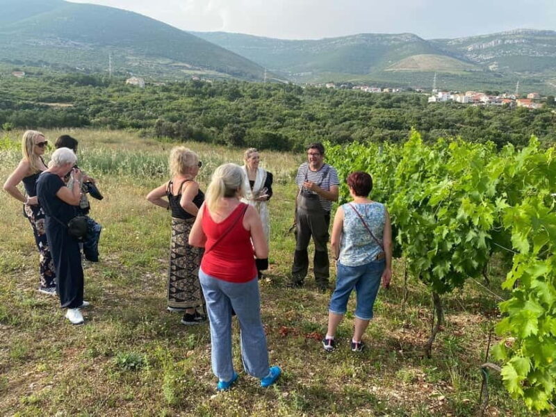 Kastela: Wine & Olive Tasting Tour w/Delicacies & Live Music - Cultural & Musical Experience
