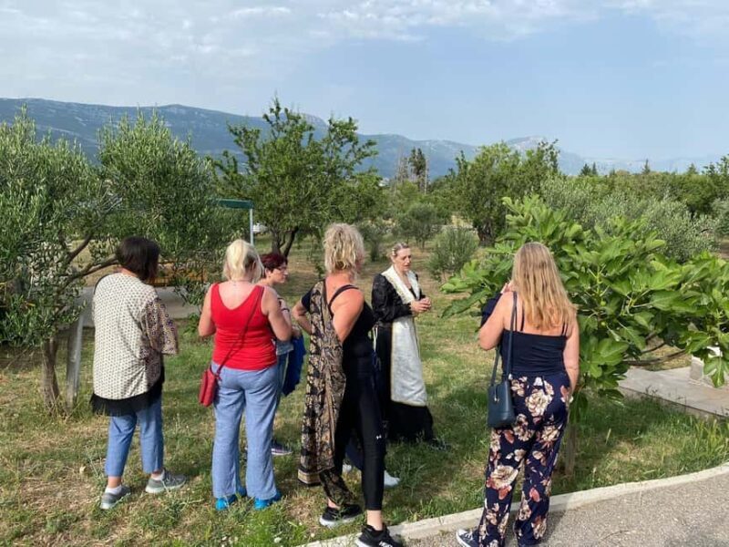 Kastela: Wine & Olive Tasting Tour w/Delicacies & Live Music - Practical Details & Value