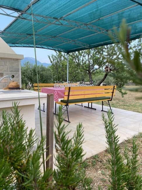 Kastela: Wine & Olive Tasting Tour w/Delicacies & Live Music - The Sum Up