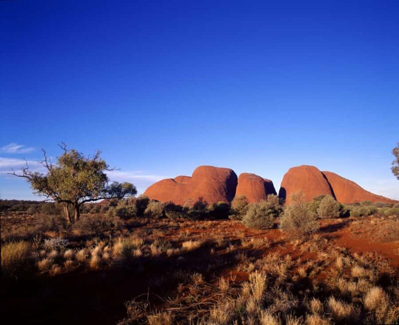 Kata Tjuta Private Guided Sunrise Tour - Practical Tips for Your Sunrise Adventure