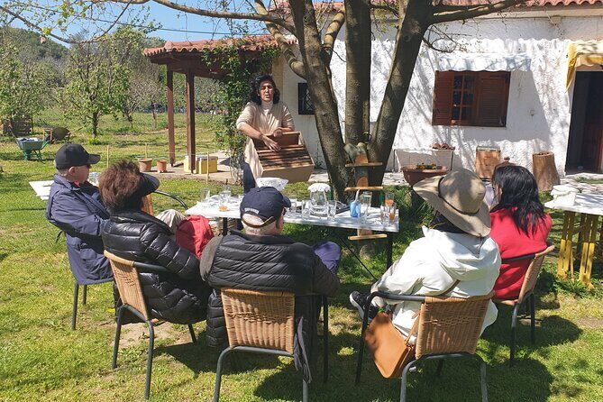 Katakolon Small Group Tour: Olympic site, Honey/Olive Oil Tasting - Timing and Pacing