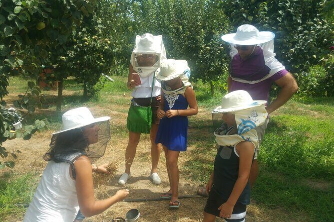 Katakolon Small Group Tour: Olympic site, Honey/Olive Oil Tasting - Cost and Value