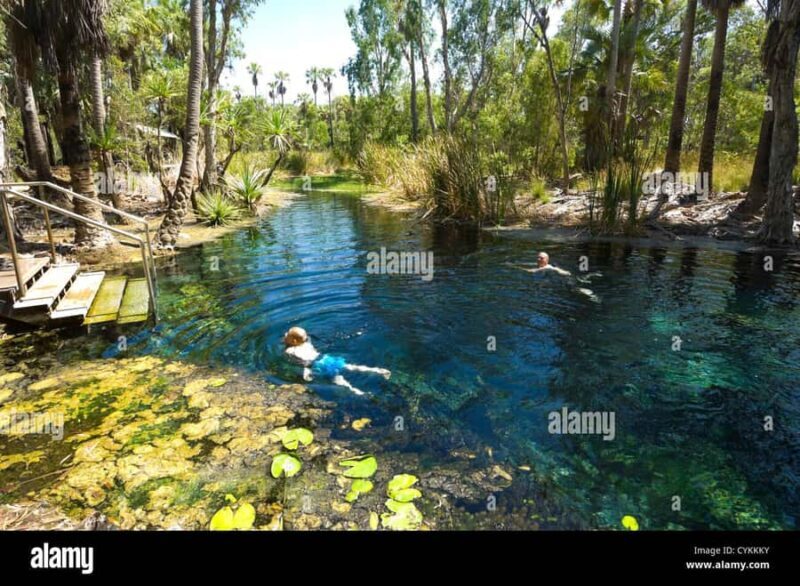 Katherine Gorge - Mataranka - Edith Falls - Adelaide River - An In-Depth Look at the Tour