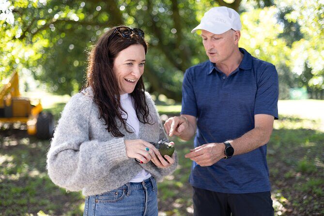 Katikati Gourmet Avocado Tasting - An Insightful Tour into Avocado Farming