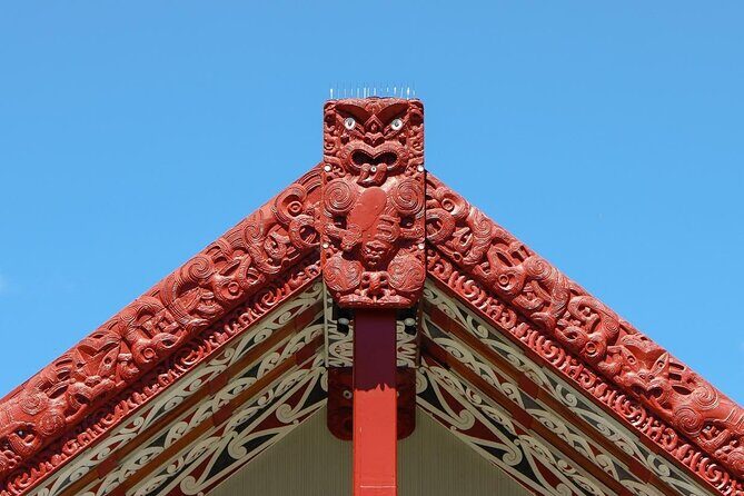 Katikati Gourmet Avocado Tasting - Who Should Consider This Tour