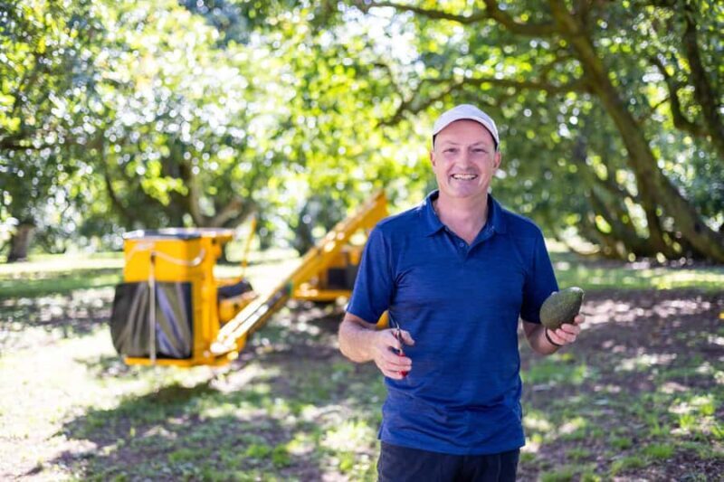 Katikati: Guided Gourmet Avocado Tour - Introduction to the Tour Experience