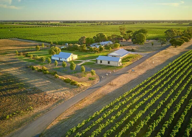 Katnook Estate: Icon Wine Tasting and Regional Platter for 2 - The Details of the Experience