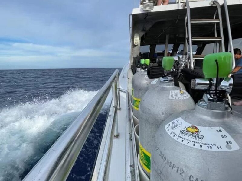 Kauai: 3-Tank Boat Dive for Certified Divers - Who Will Love This Tour?