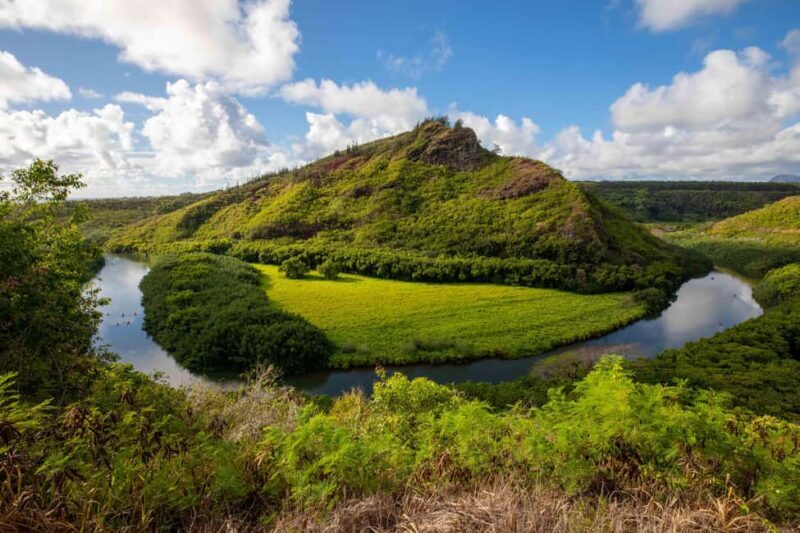 Kauai East Side and North Shore: Waterfalls & Beaches Tour - Key Points