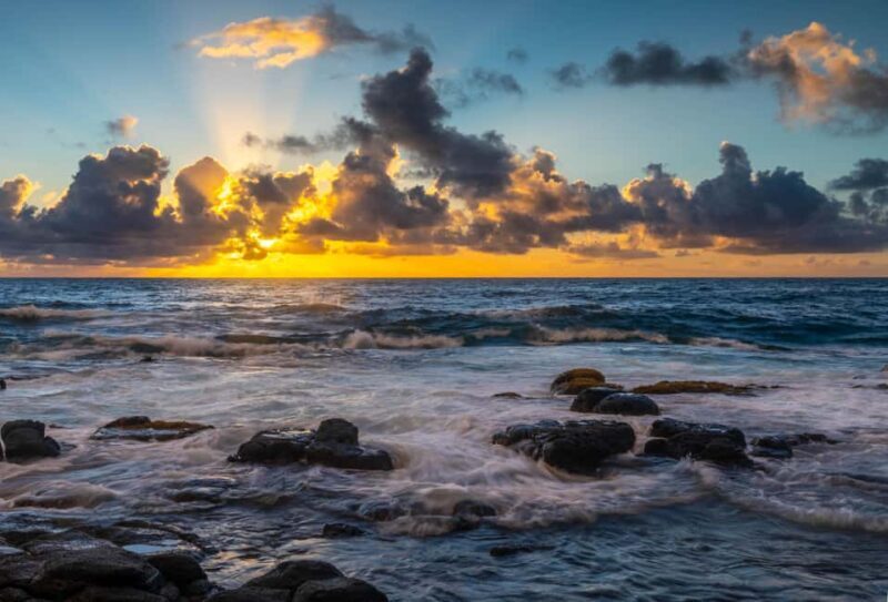 Kauai East Side and North Shore: Waterfalls & Beaches Tour - Who Should Consider This Tour?