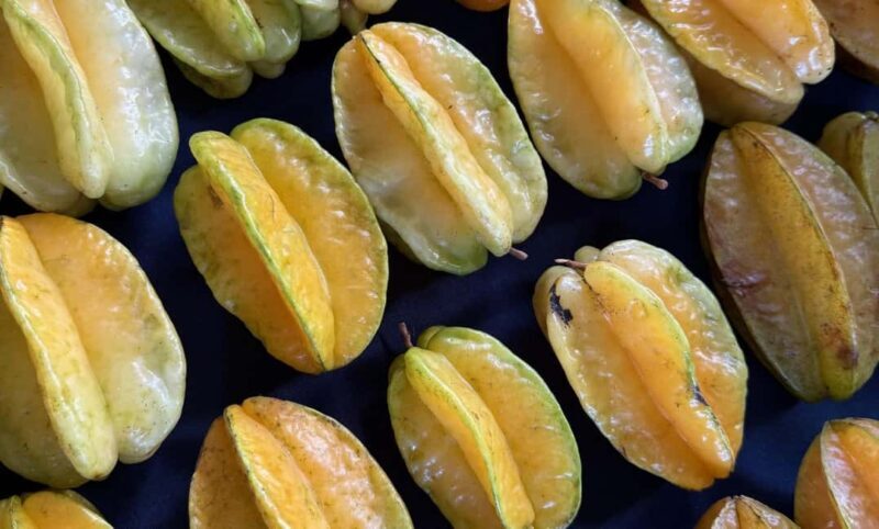 Kauai: Farmers Market Tasting Tour - Exploring the Kauai Farmers Market Tasting Tour in Depth  