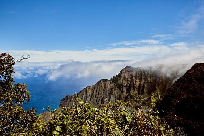 Kauai Full Day Tour with Cruise ships or Kauai Airport Pickup - Transportation & Group Size